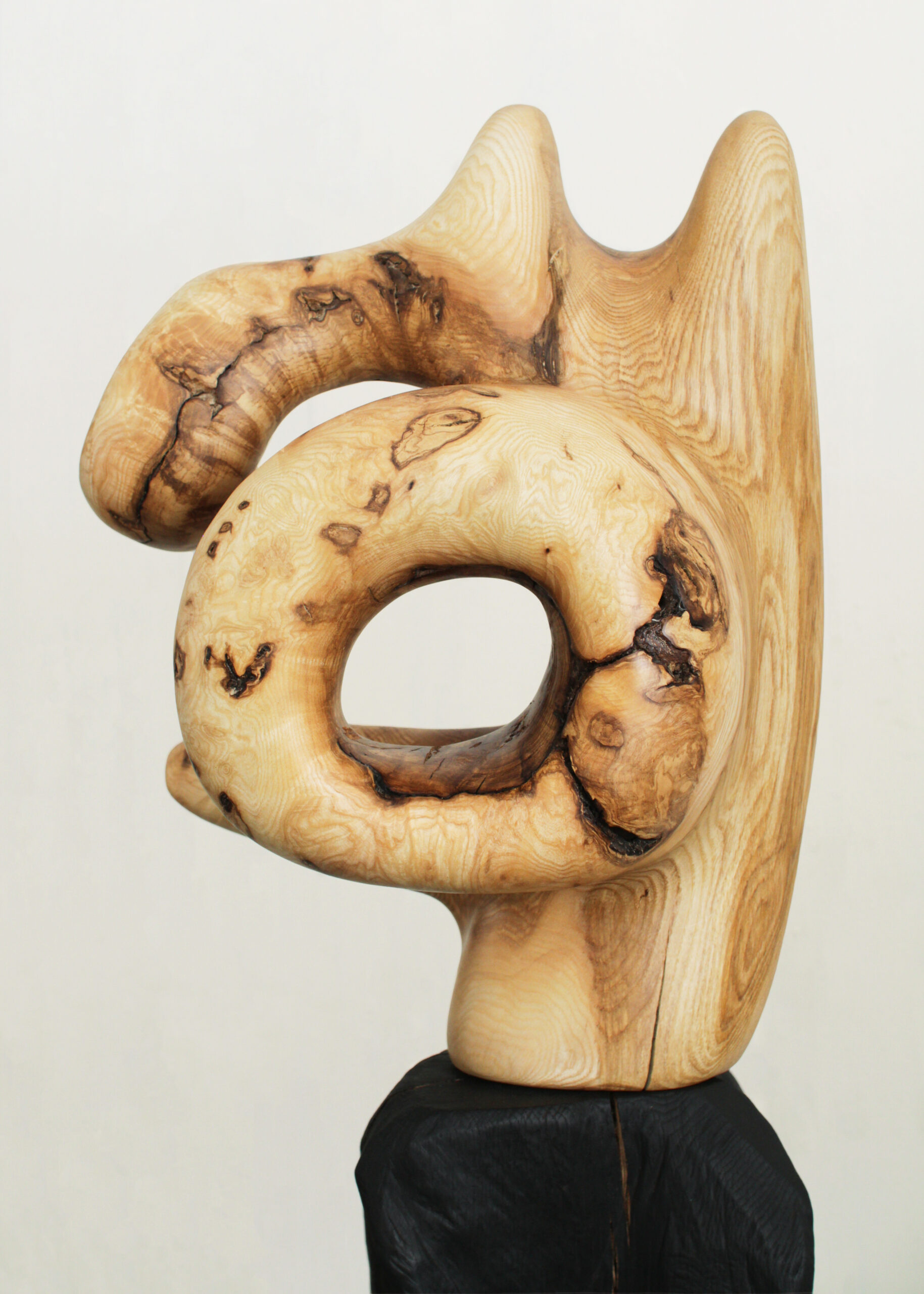 Log Scriber - NEVVEN